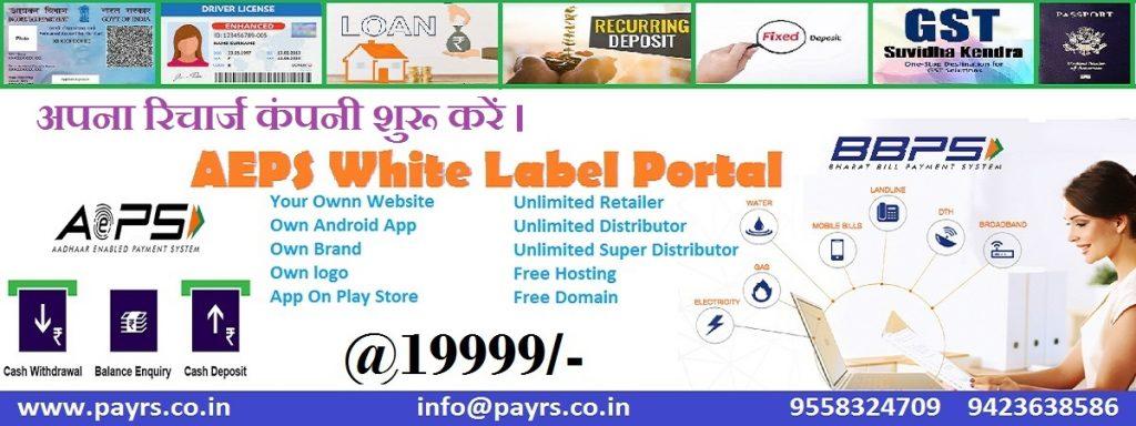 AEPS White Label, AEPS White Label Provider, AEPS Portal, AEPS Soft